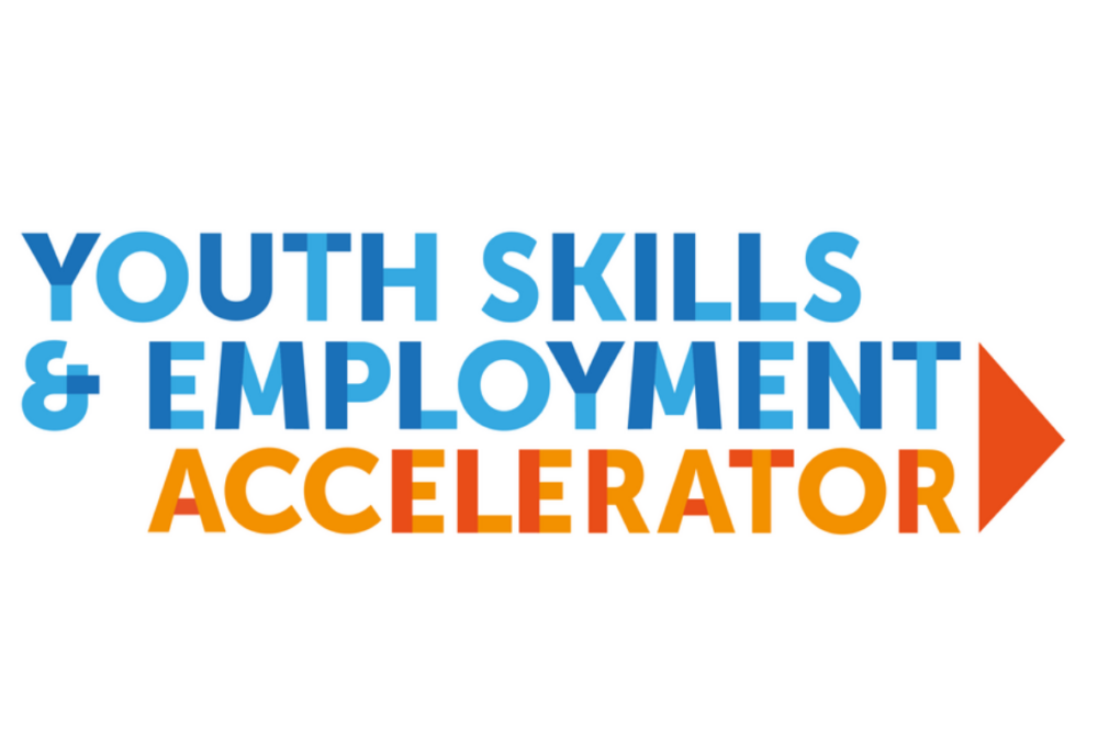Youth Skills and Employment Accelerator Application Form